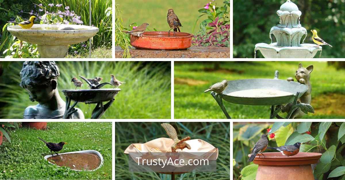 223 Bird Bath Ideas For Front & Backyard - Easy And Adorable
