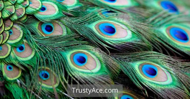 118+ Fun Relay Race Ideas For Adults And Kids