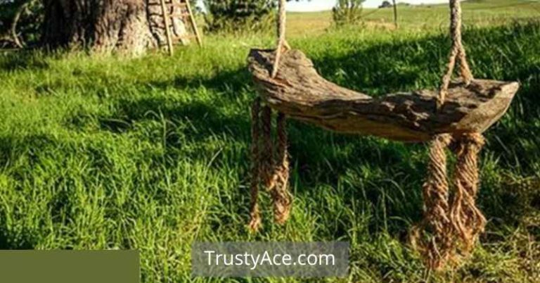 115+ Backyard Homemade DIY Tree Swing Ideas